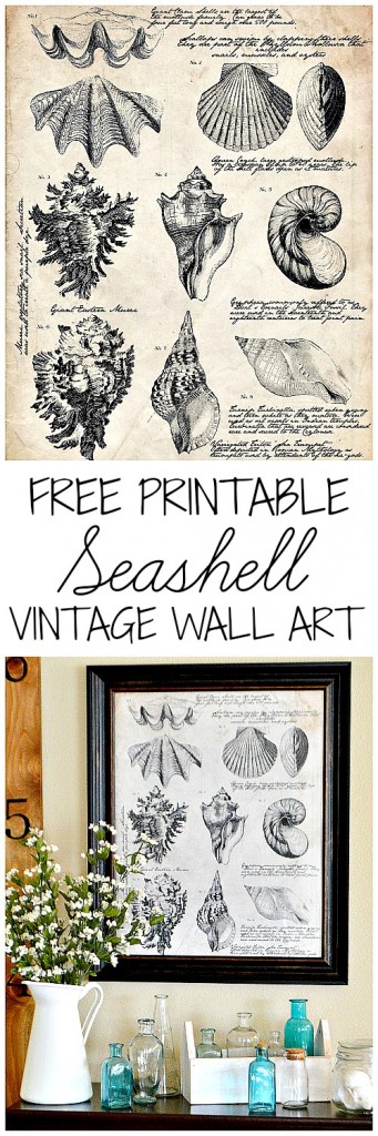 Free Printable Seashell Botanical Print - Ella Claire & Co.