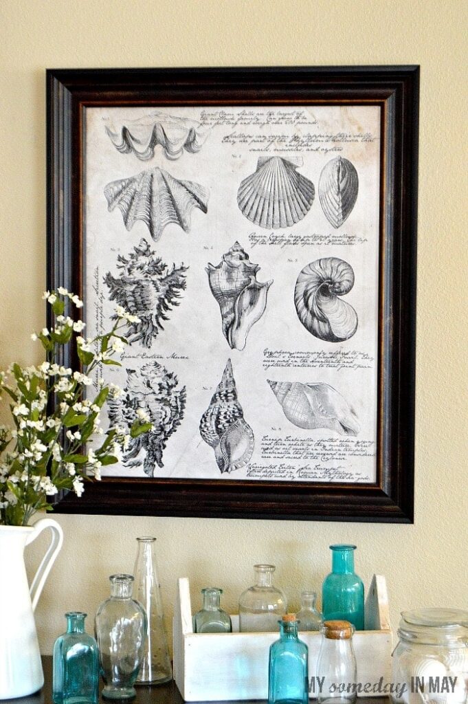Free Printable Seashell Botanical Print - Ella Claire & Co.