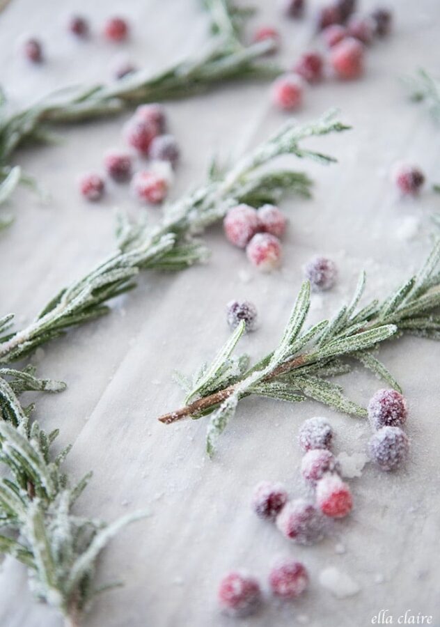 Sugared Rosemary Sprigs - Ella Claire & Co.