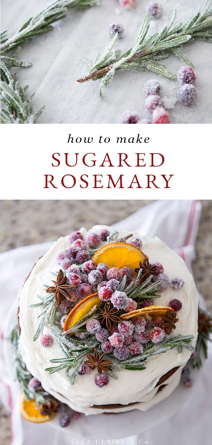 Sugared Rosemary Sprigs - Ella Claire & Co.