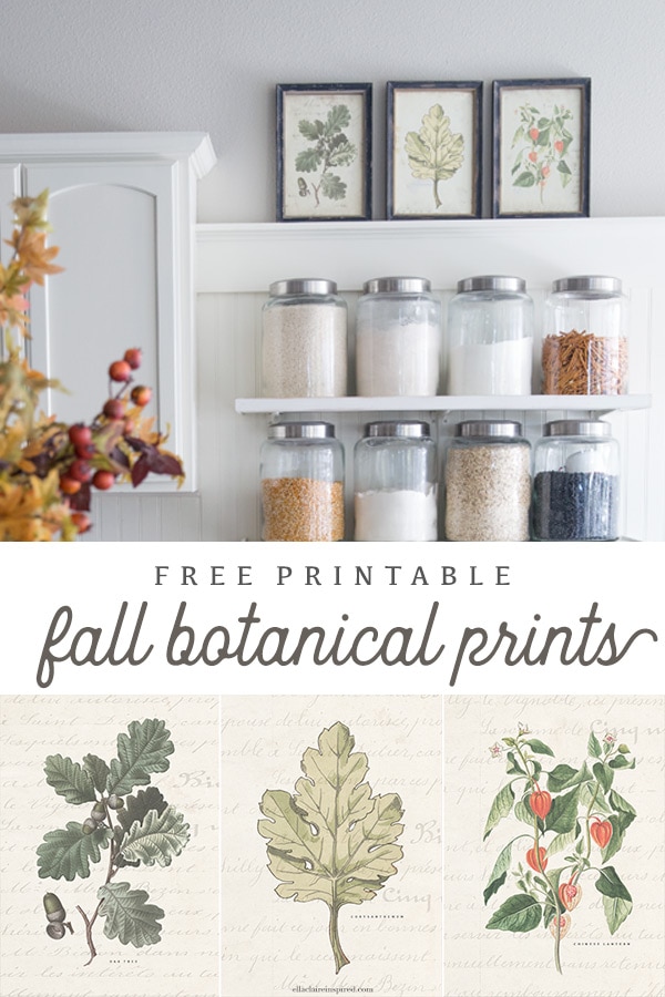 Free Printable Muted Fall Botanicals - Ella Claire & Co.