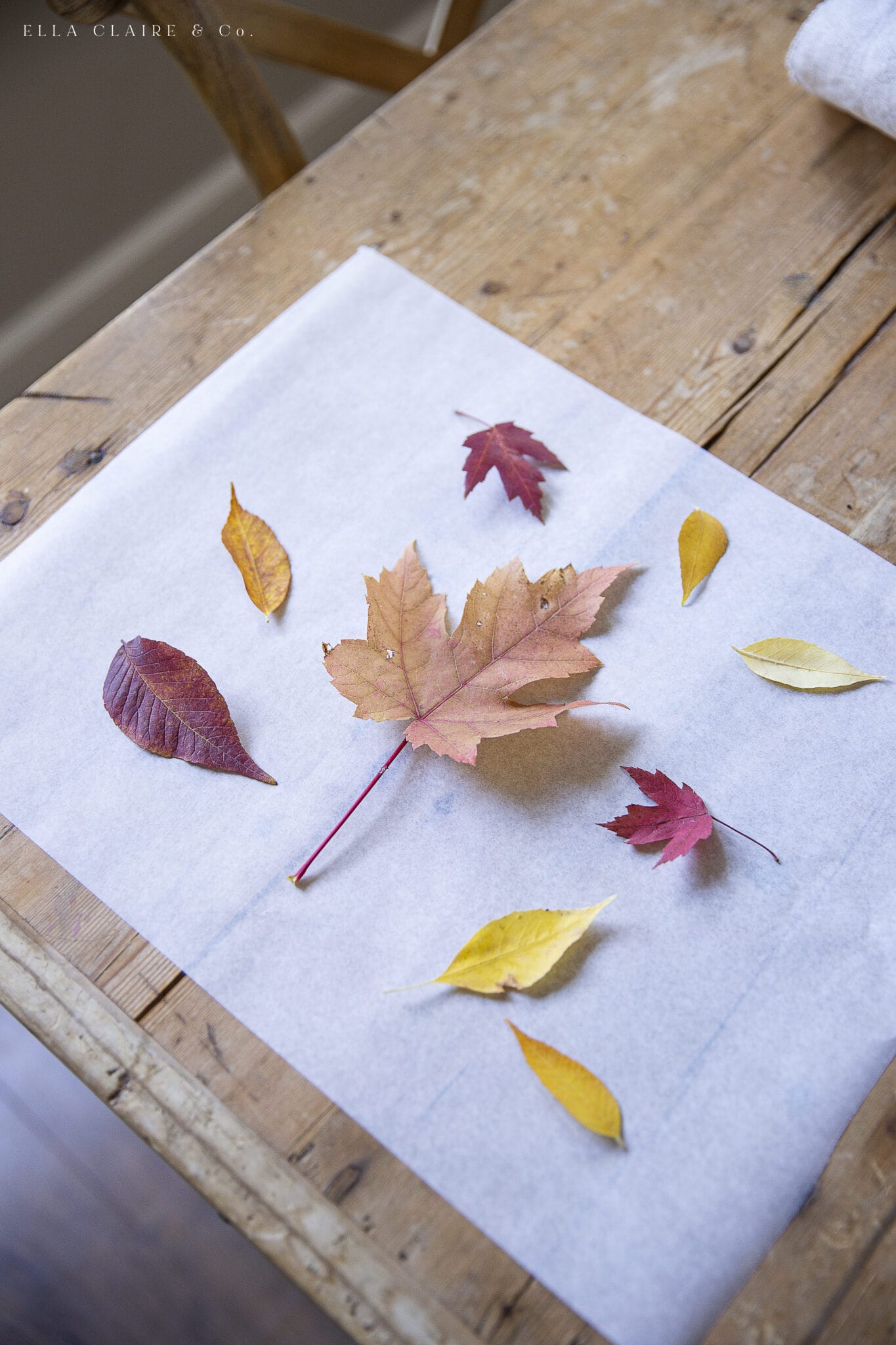 DIY Fall Leaf Luminaries - Ella Claire & Co.
