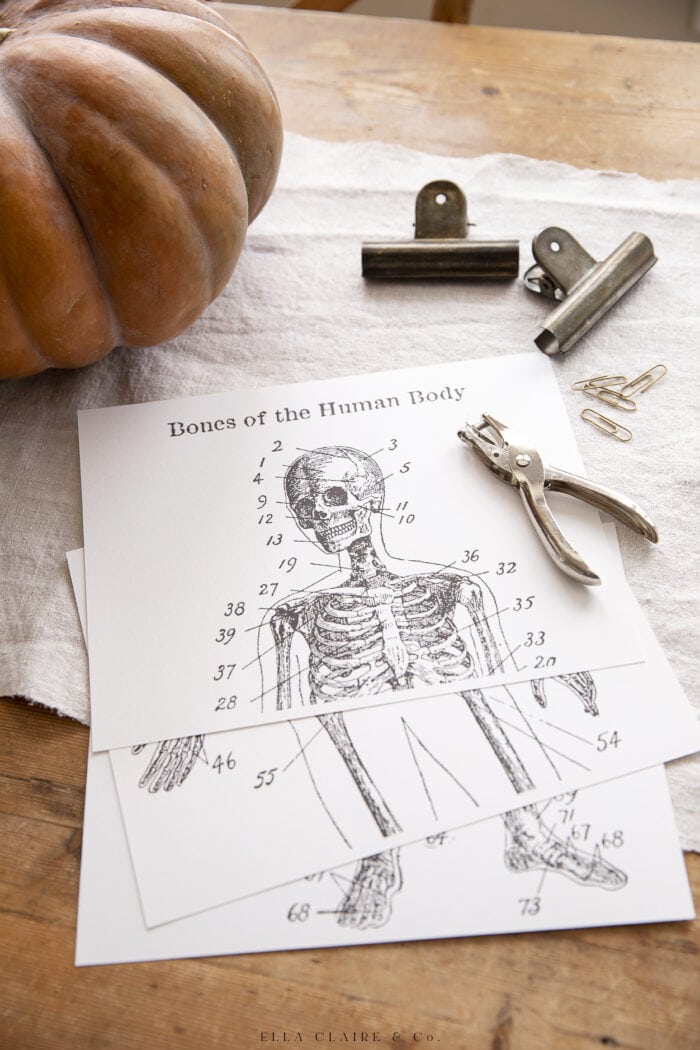 Halloween Skeleton Printable- Spooky Vintage Decor - Ella Claire & Co.