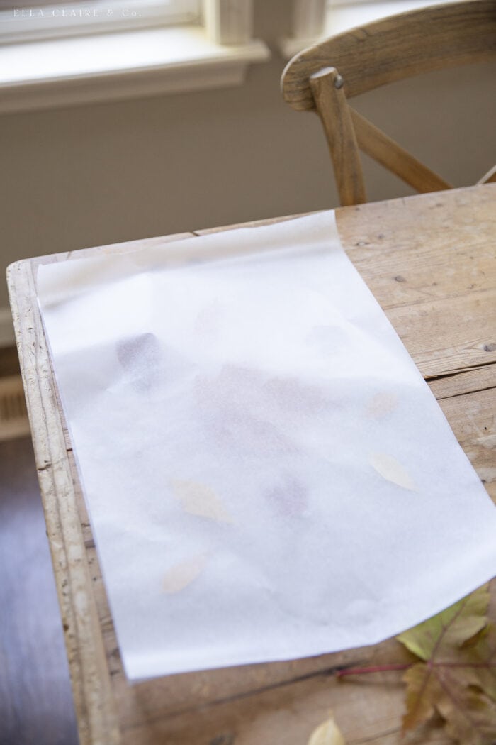 DIY Fall Leaf Luminaries - Ella Claire & Co.