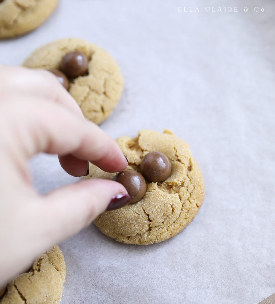 Peanut Butter Spider Cookies - Ella Claire & Co.