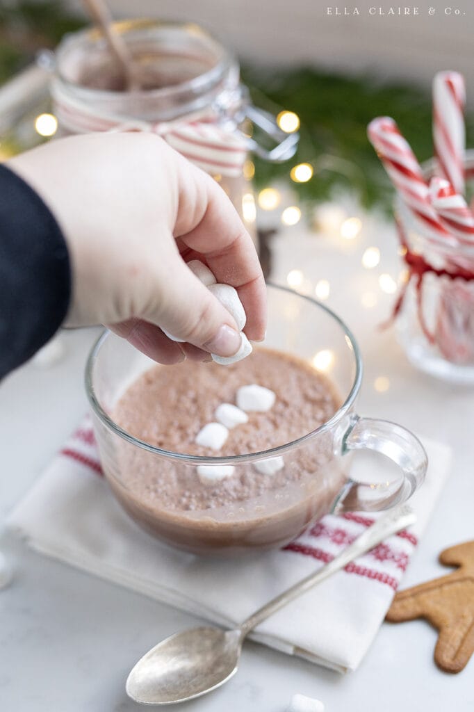 Homemade Hot Chocolate Mix - Ella Claire & Co.